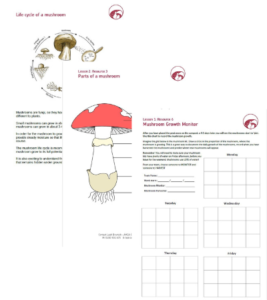 Mushrooms in Schools - Australian Mushroom Growers