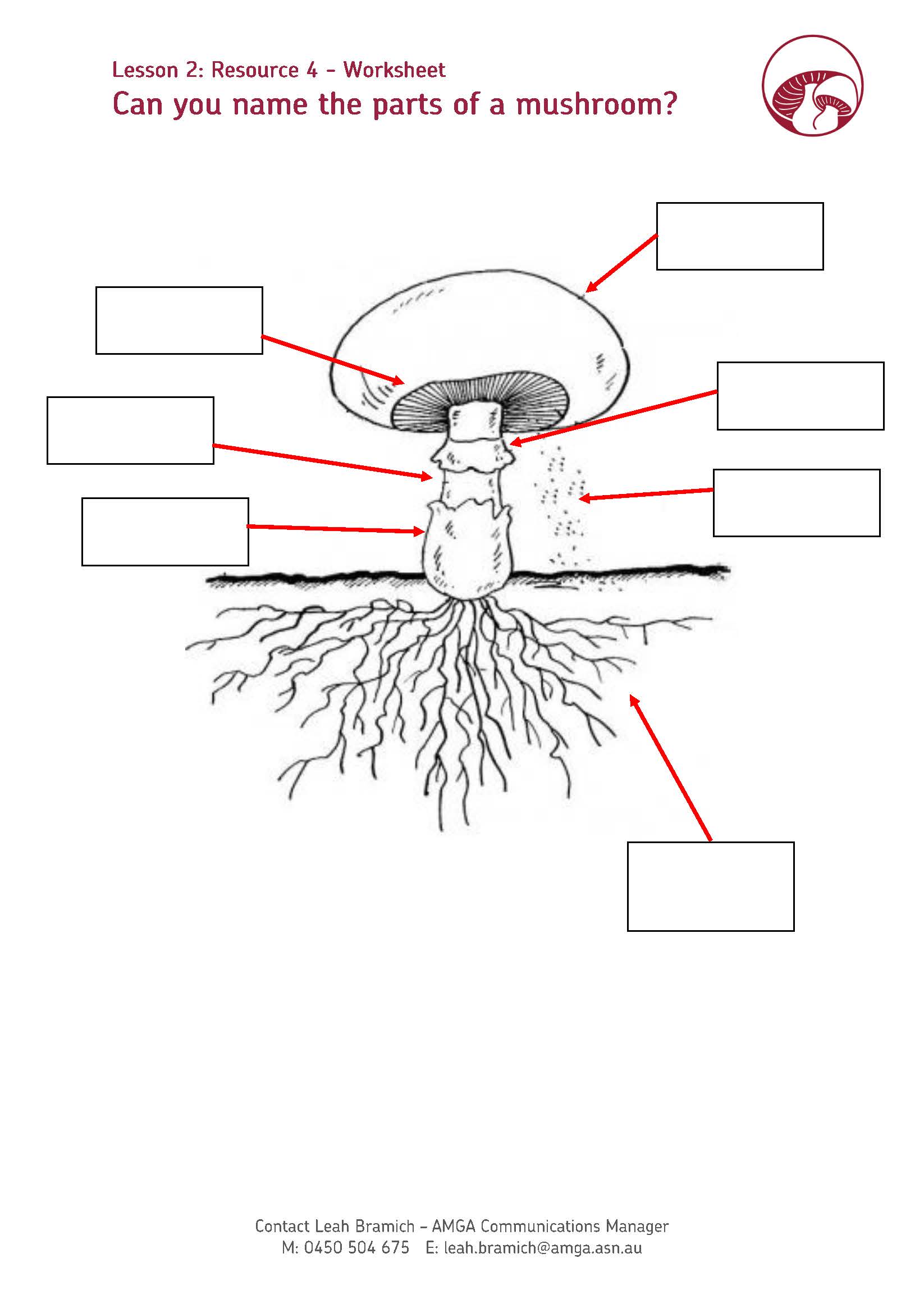 Lesson Plans - Australian Mushroom Growers